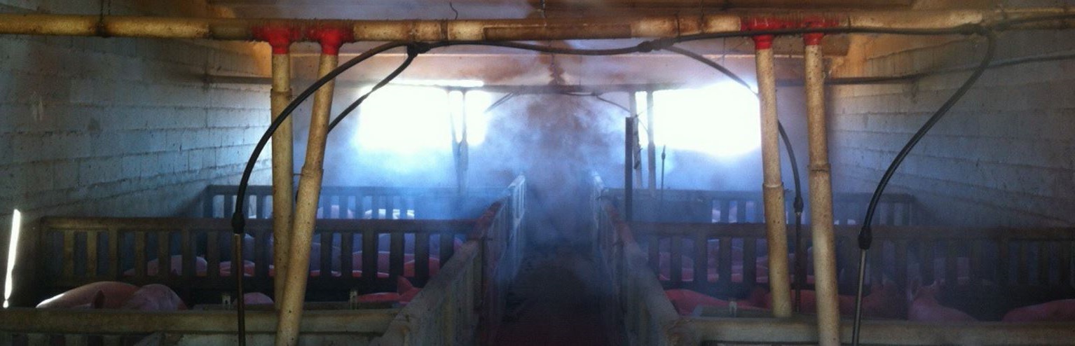 MIST COOLING – Fog System Dubai